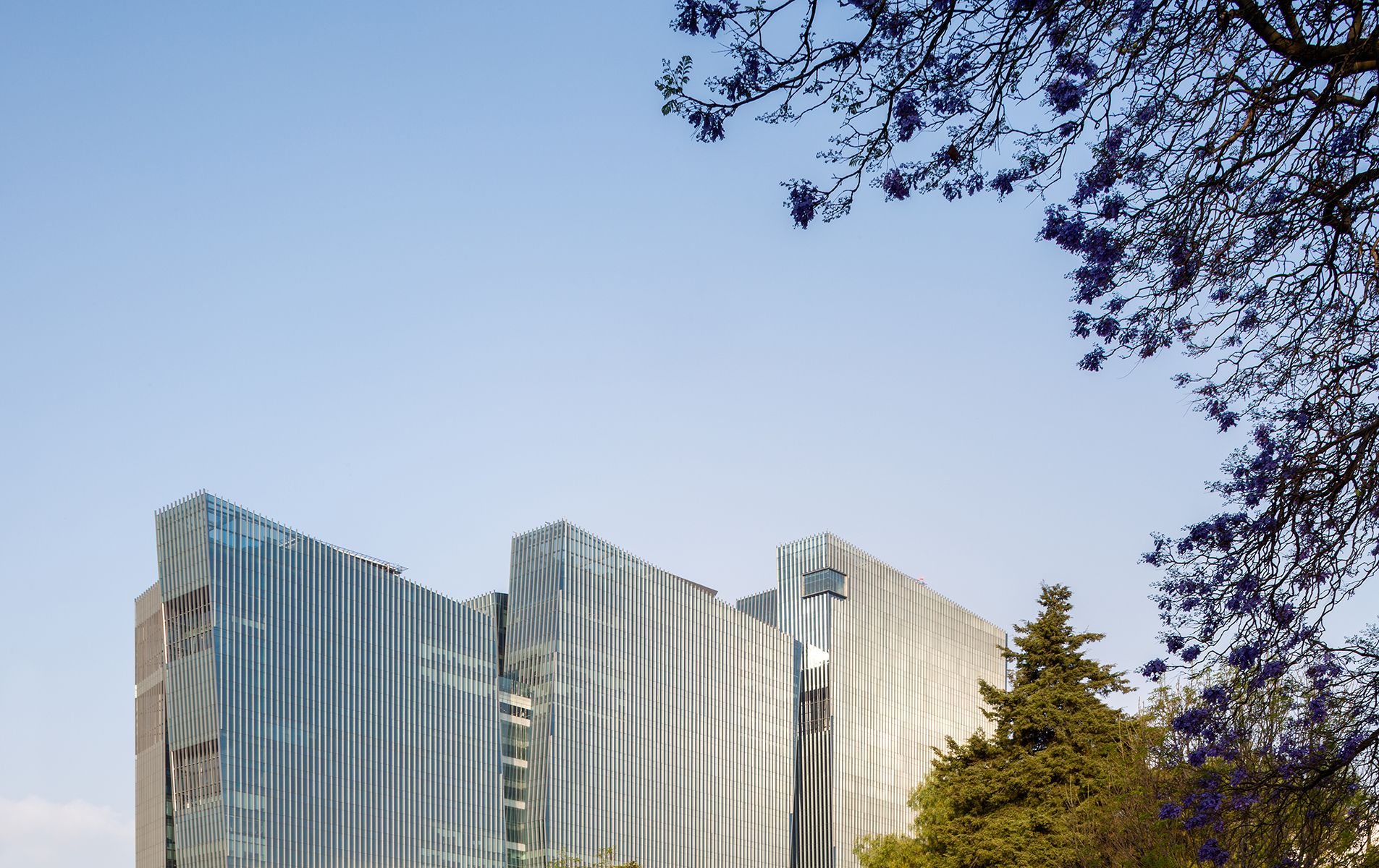 Sordo Madaleno | Parque Toreo